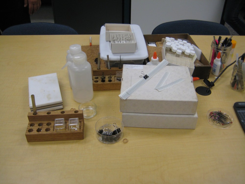 UT Austin Insect Collection | Commander Ben