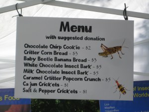 UT Austin Insect Collection | Commander Ben