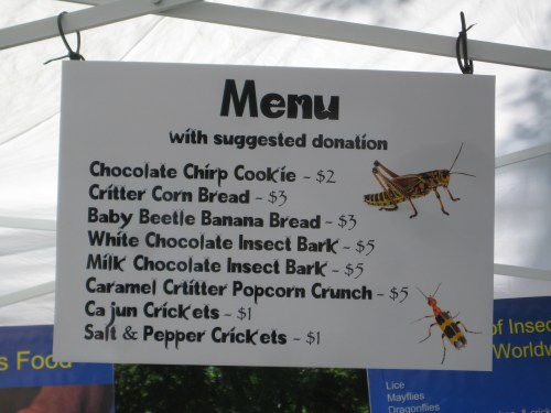 UT Austin Insect Collection | Commander Ben