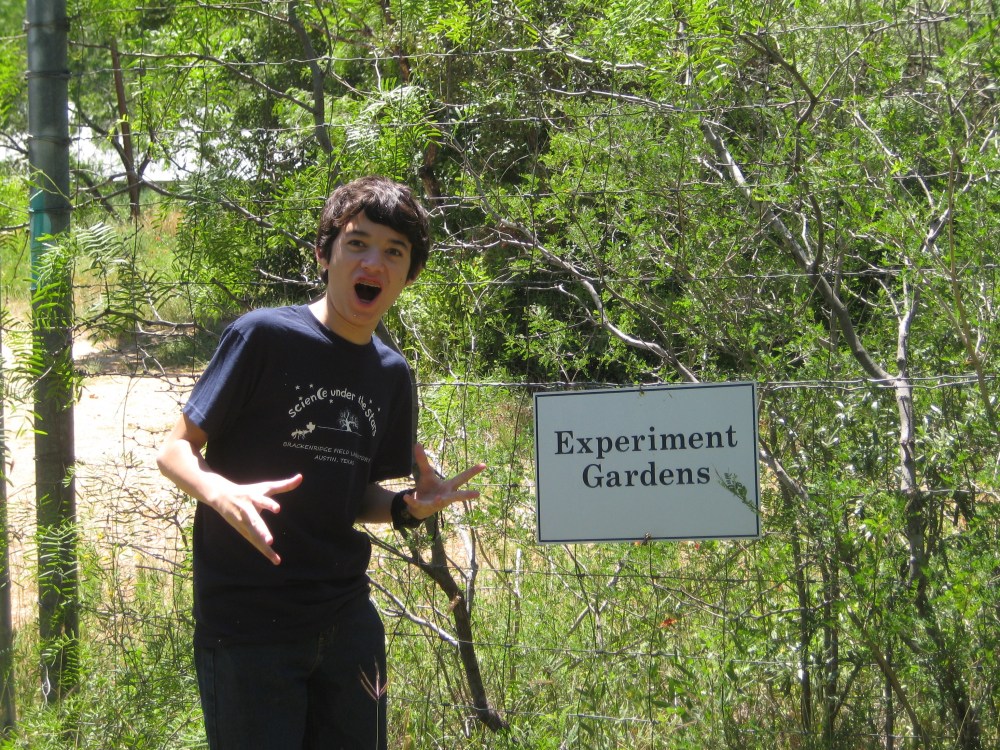 UT Austin Insect Collection | Commander Ben