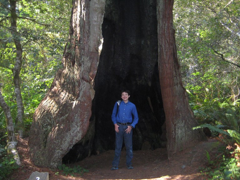 Giant Redwoods and Lowly Ferns Nurture an Ancient Ecosystem | Commander Ben